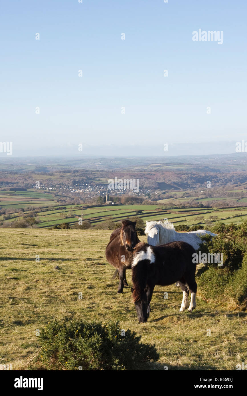 Horrabridge devon hi-res stock photography and images - Alamy
