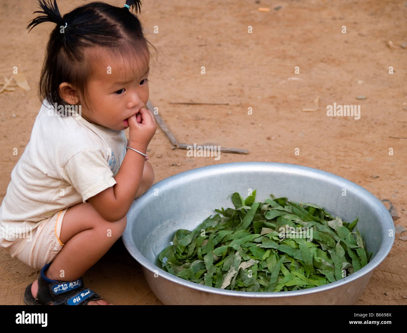 cute little girl and her basin of greens in Muang Ngoi village in ...
