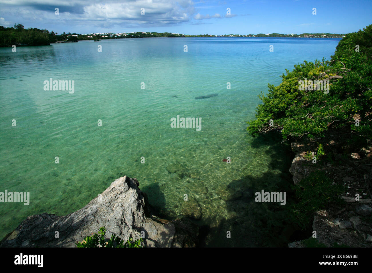 Shot of Harrington Sound taken from Bermuda Aquarium and Zoo Stock ...