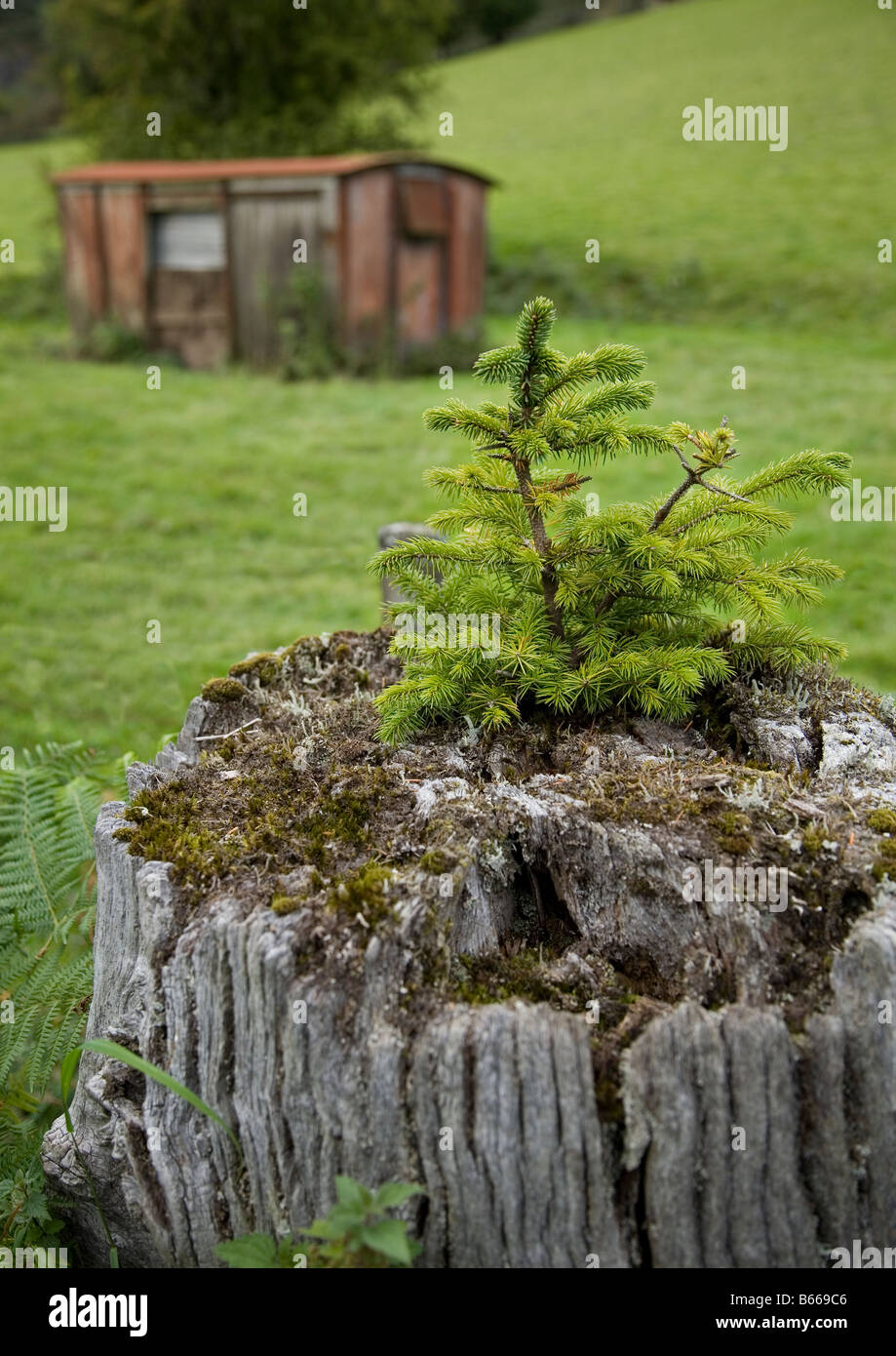 Dead fence hi-res stock photography and images - Alamy