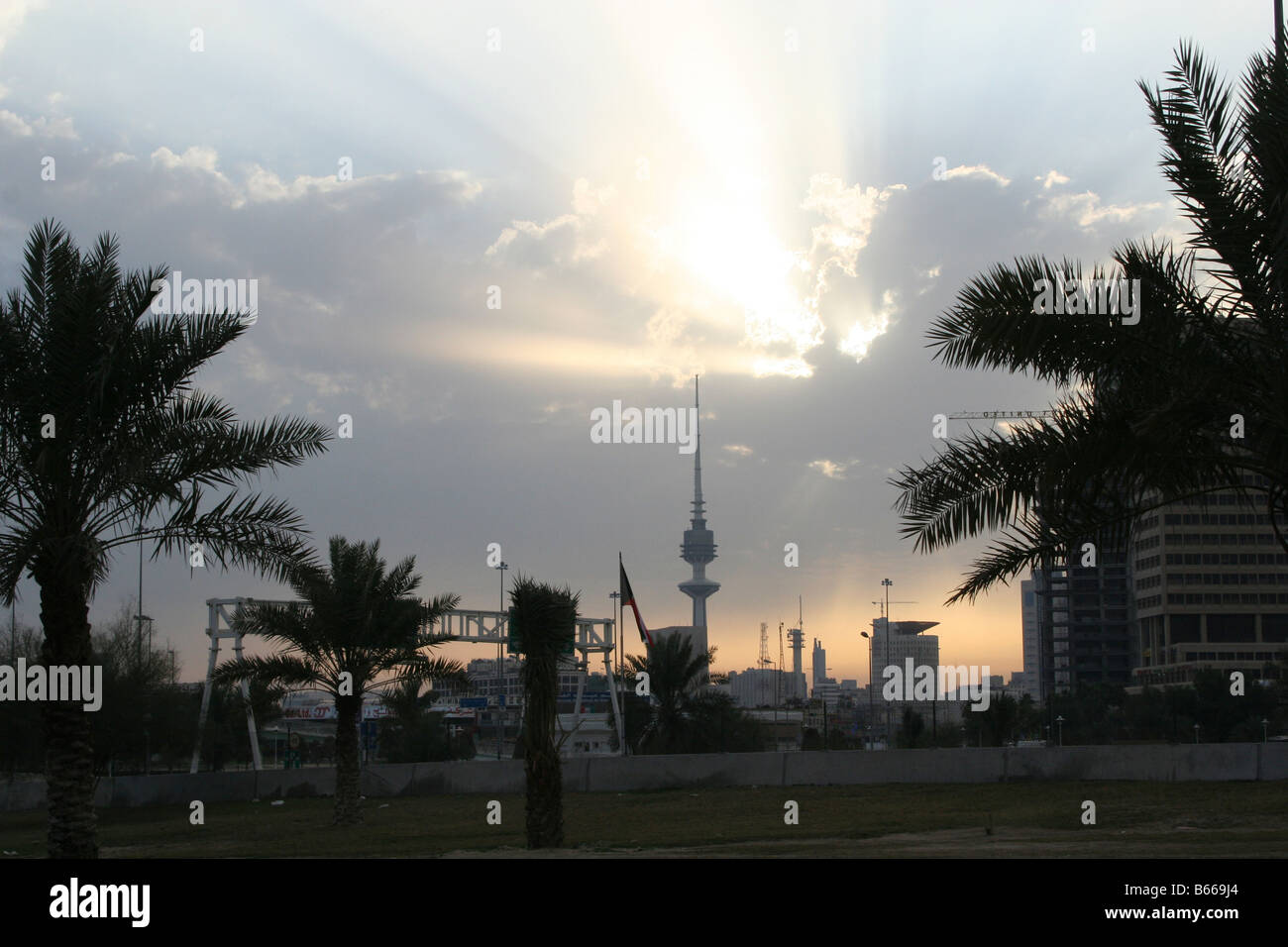 Kuwait palm tree hi-res stock photography and images - Alamy