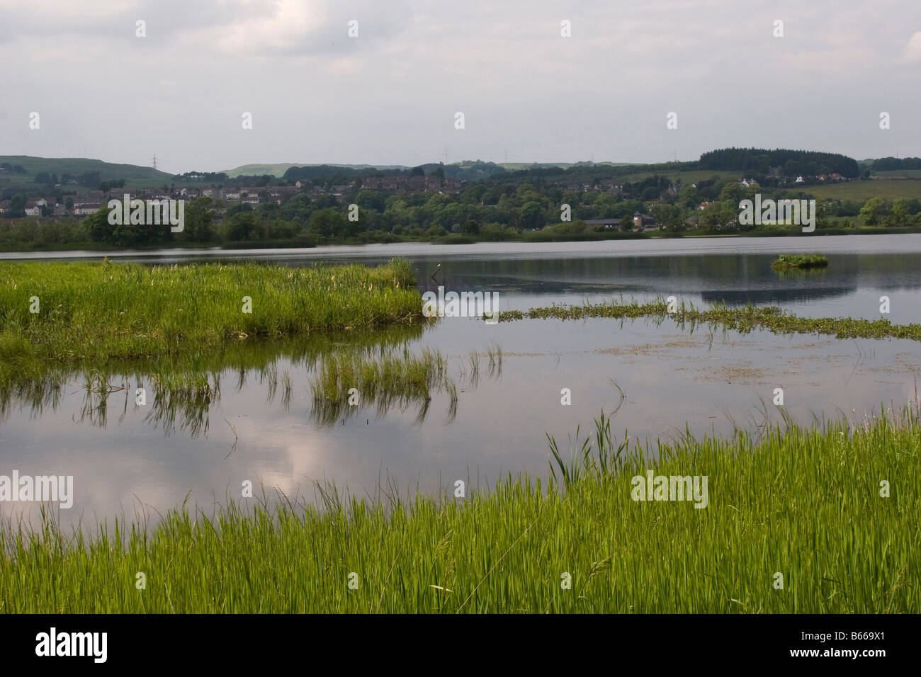 Lochwinnoch rspb reserve hi-res stock photography and images - Alamy
