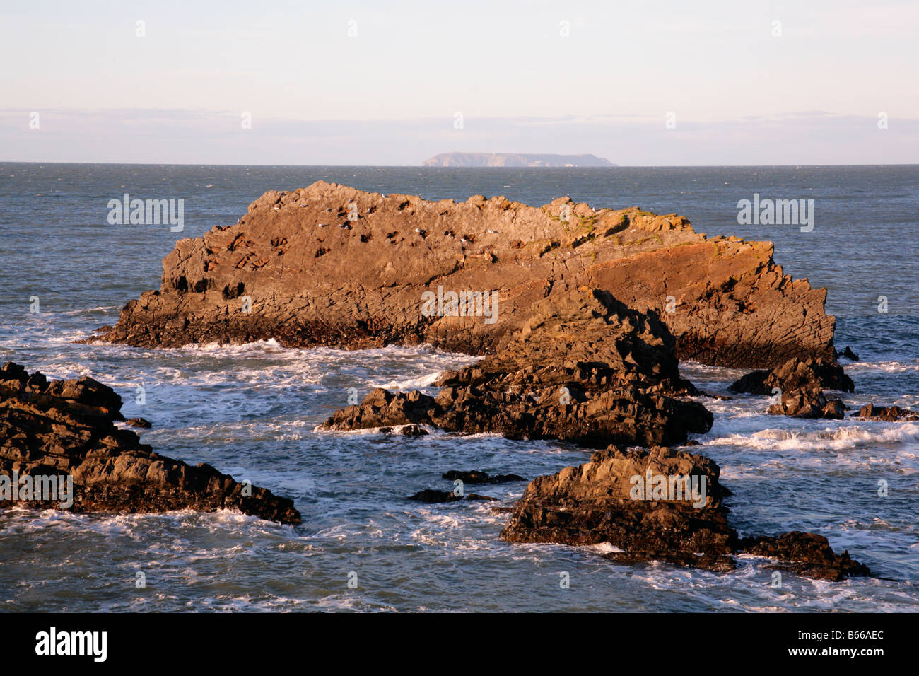 Rugged rocks with nesting seabirds off north devon coast at Hartland ...