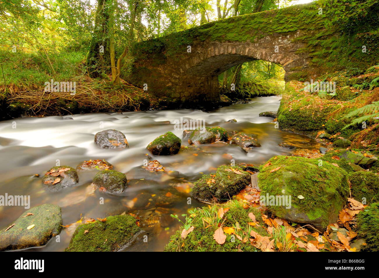 An autumnal scene around The River Webburn at Buckland Bridge where it ...