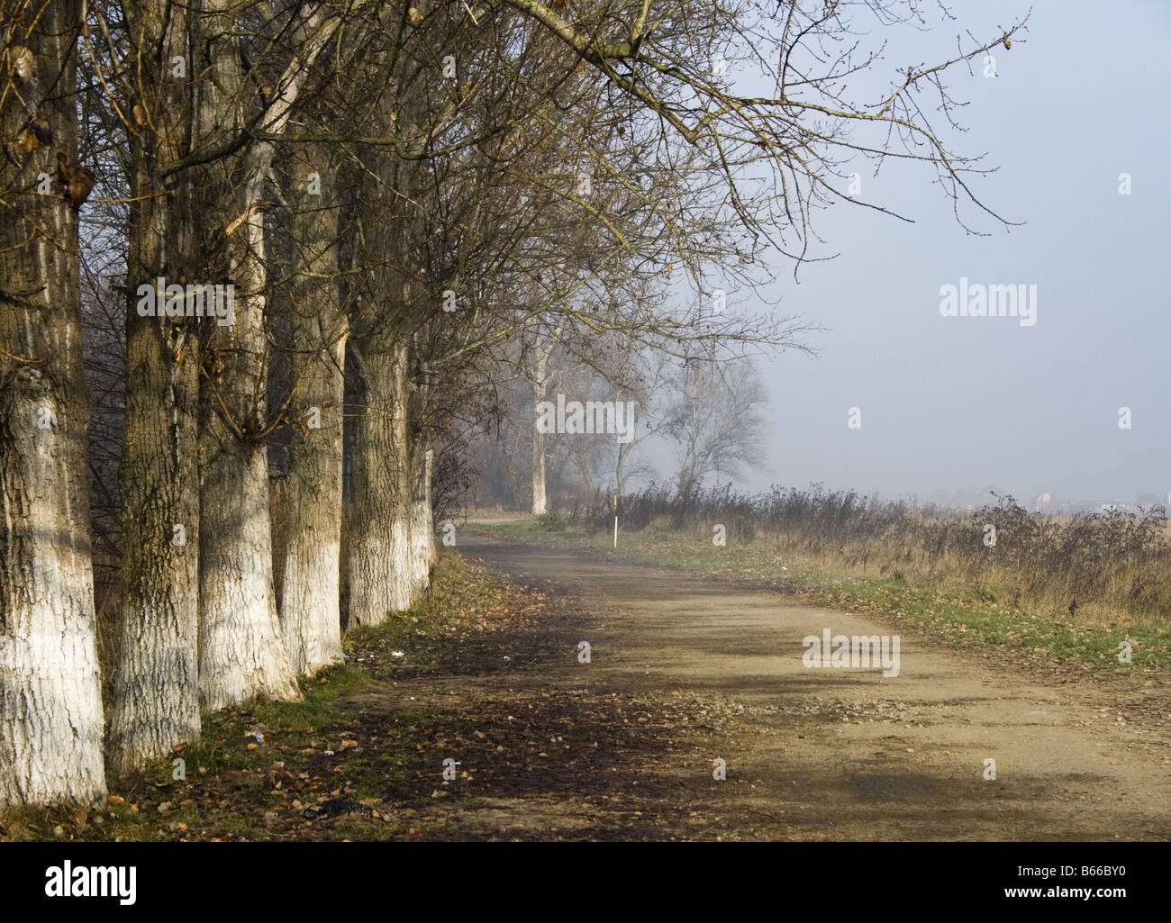 Mures river hi-res stock photography and images - Alamy