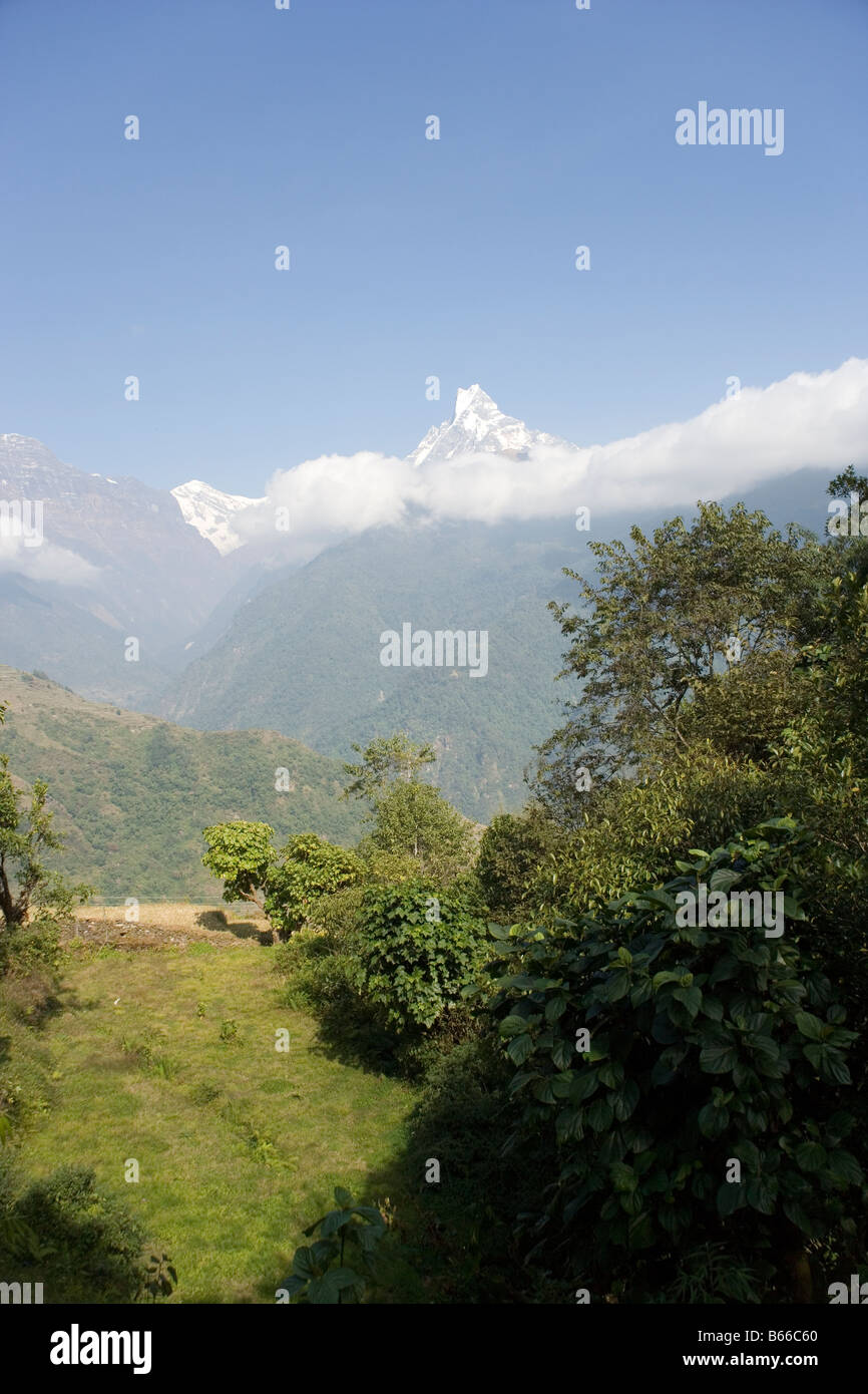 Fishtail Mountain from Ghandruk village in the Modi river Valley in the ...