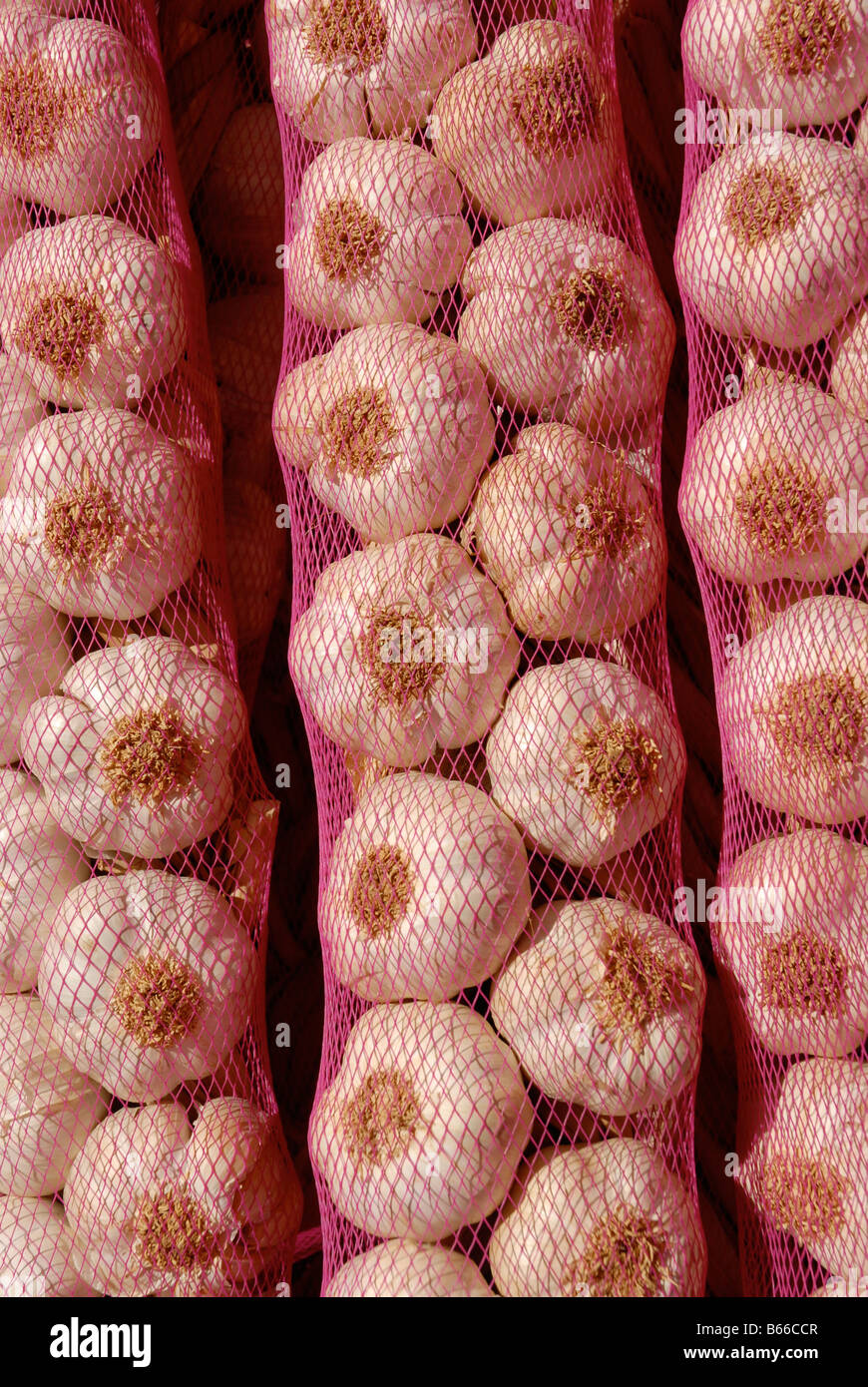 Plastic netting hi-res stock photography and images - Alamy