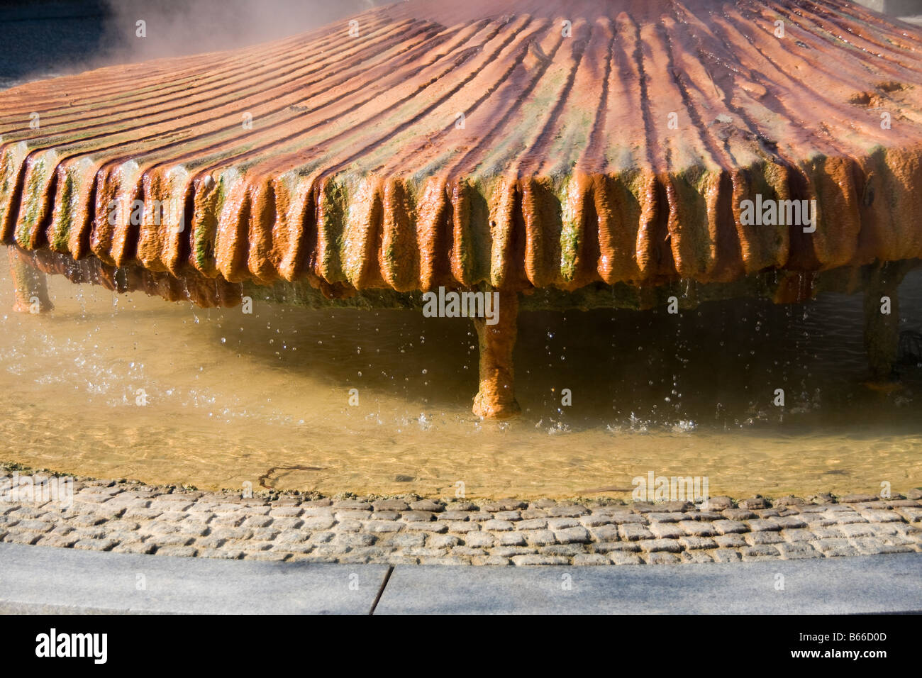 Smelling water hi-res stock photography and images - Alamy