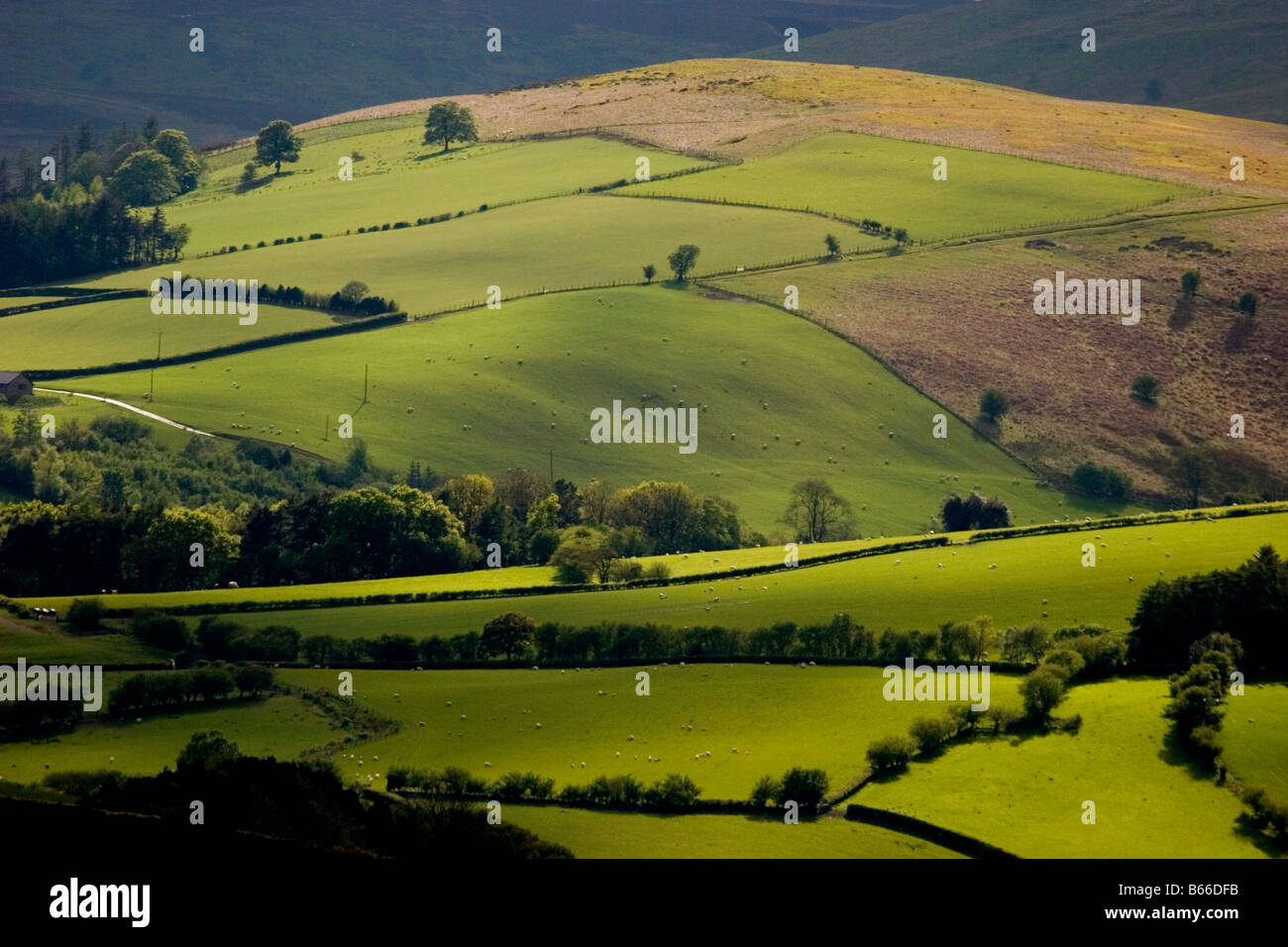 Evening light over Shropshire countryside England UK Stock Photo - Alamy