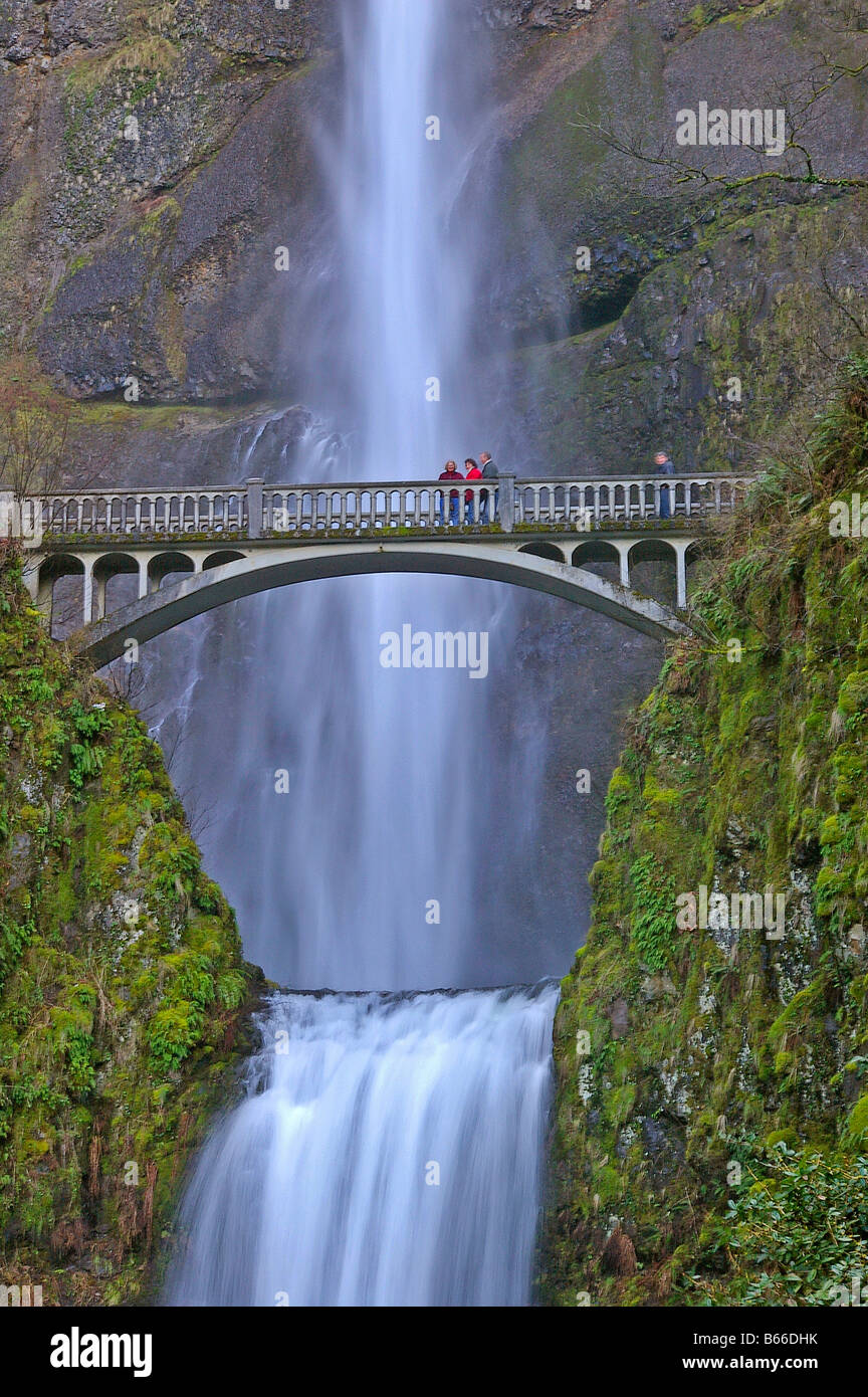 Multnomah Falls Bridge
