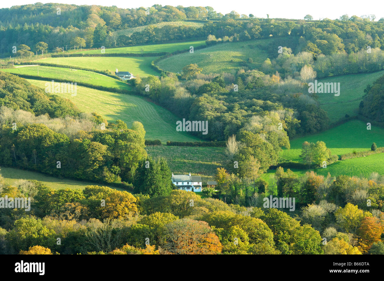 Two large rural houses situated amongst farmland with Autumnal colours ...