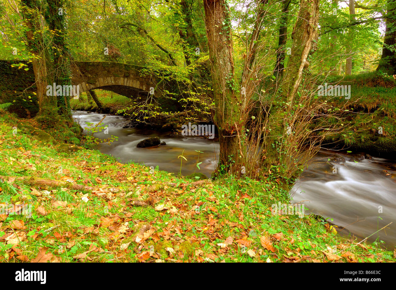 An autumnal scene around The River Webburn at Buckland Bridge where it ...