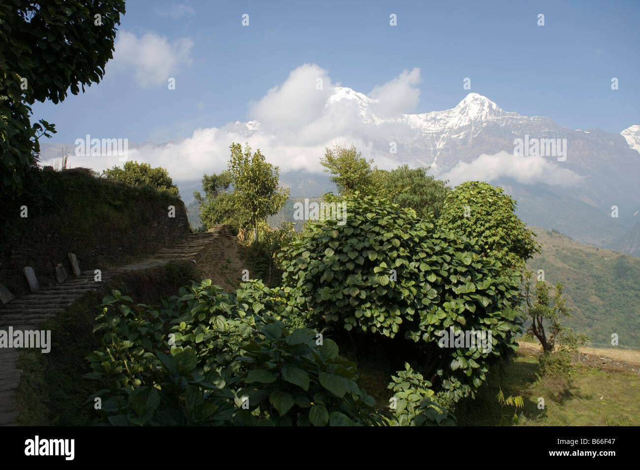Fishtail Mountain from Ghandruk village in the Modi river Valley in the ...