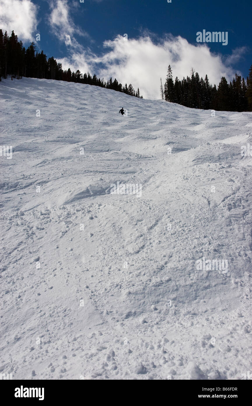 Snowboarder tackles the bumps on the Loco Trail in the Larkspur Bowl ...