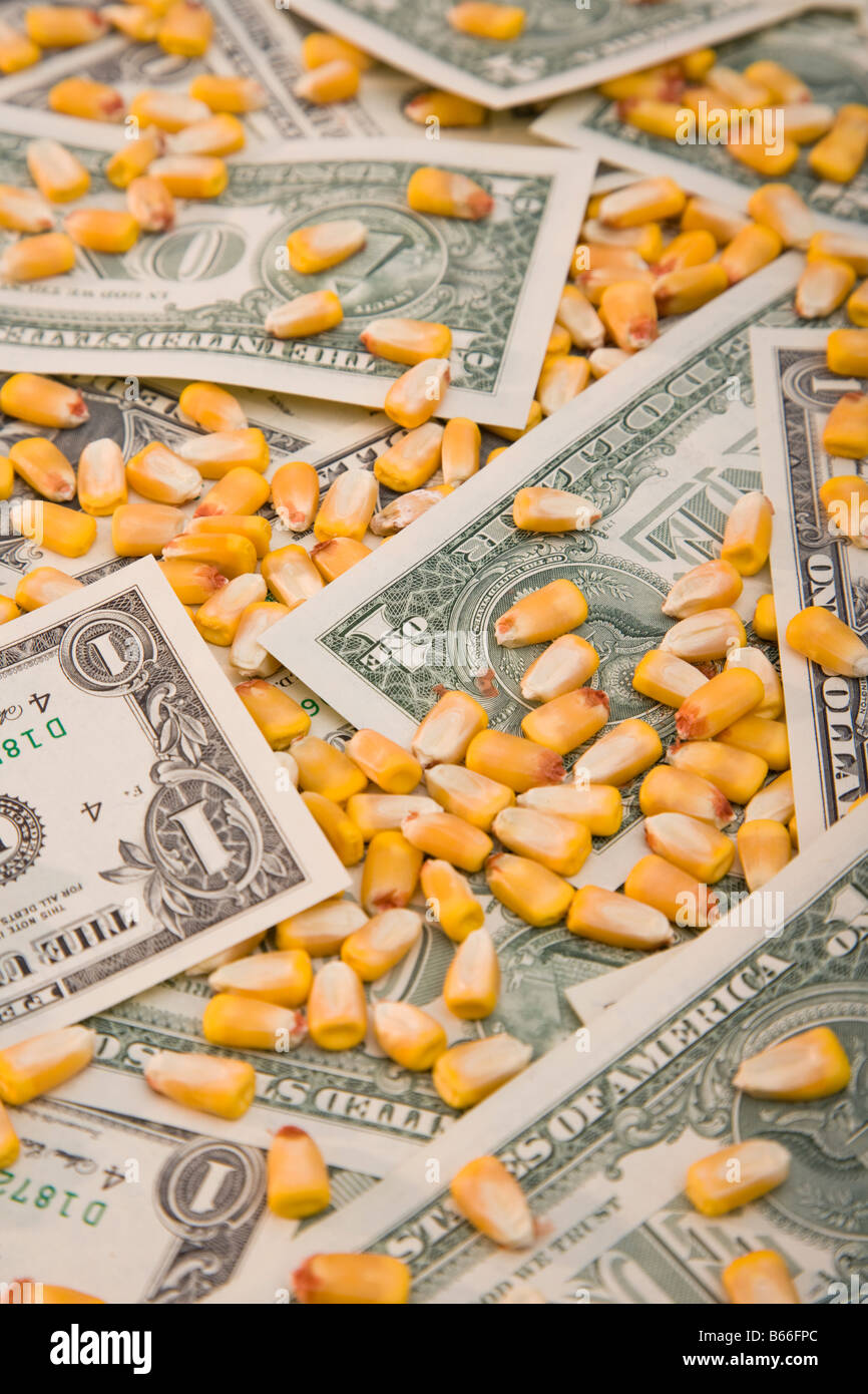 Sweet corn and American paper currency Stock Photo - Alamy