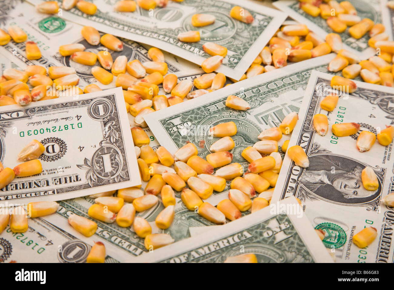 Us farming corn hi-res stock photography and images - Alamy