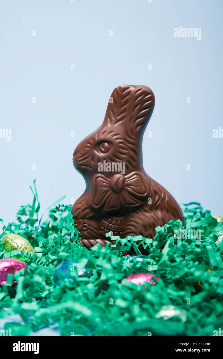 Rabbit Chocolate High Resolution Stock Photography and Images - Alamy
