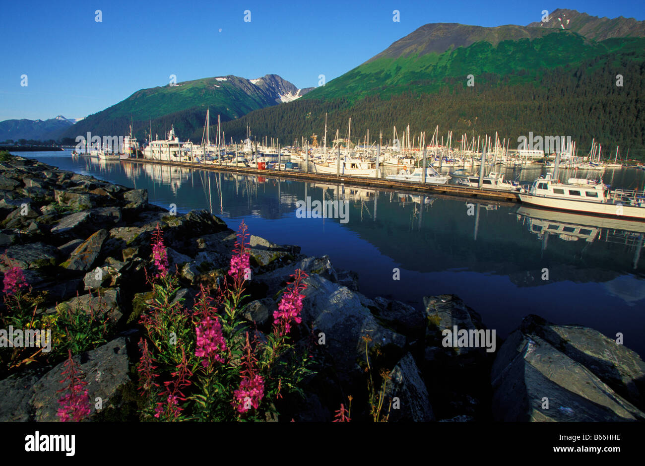 Seward Boat Harbor Seward Alaska Stock Photo - Alamy