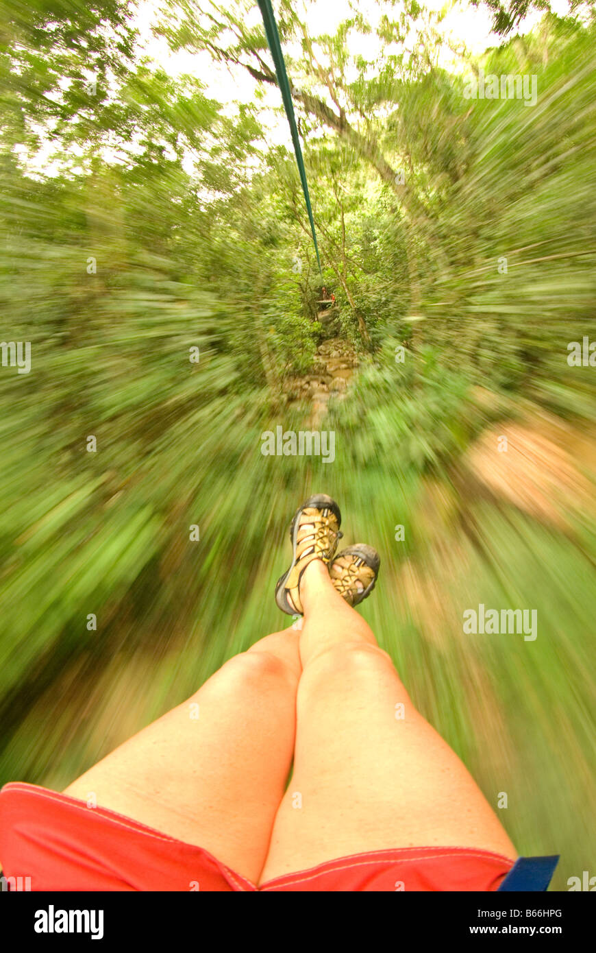 Canopy tour mexico hi-res stock photography and images - Alamy