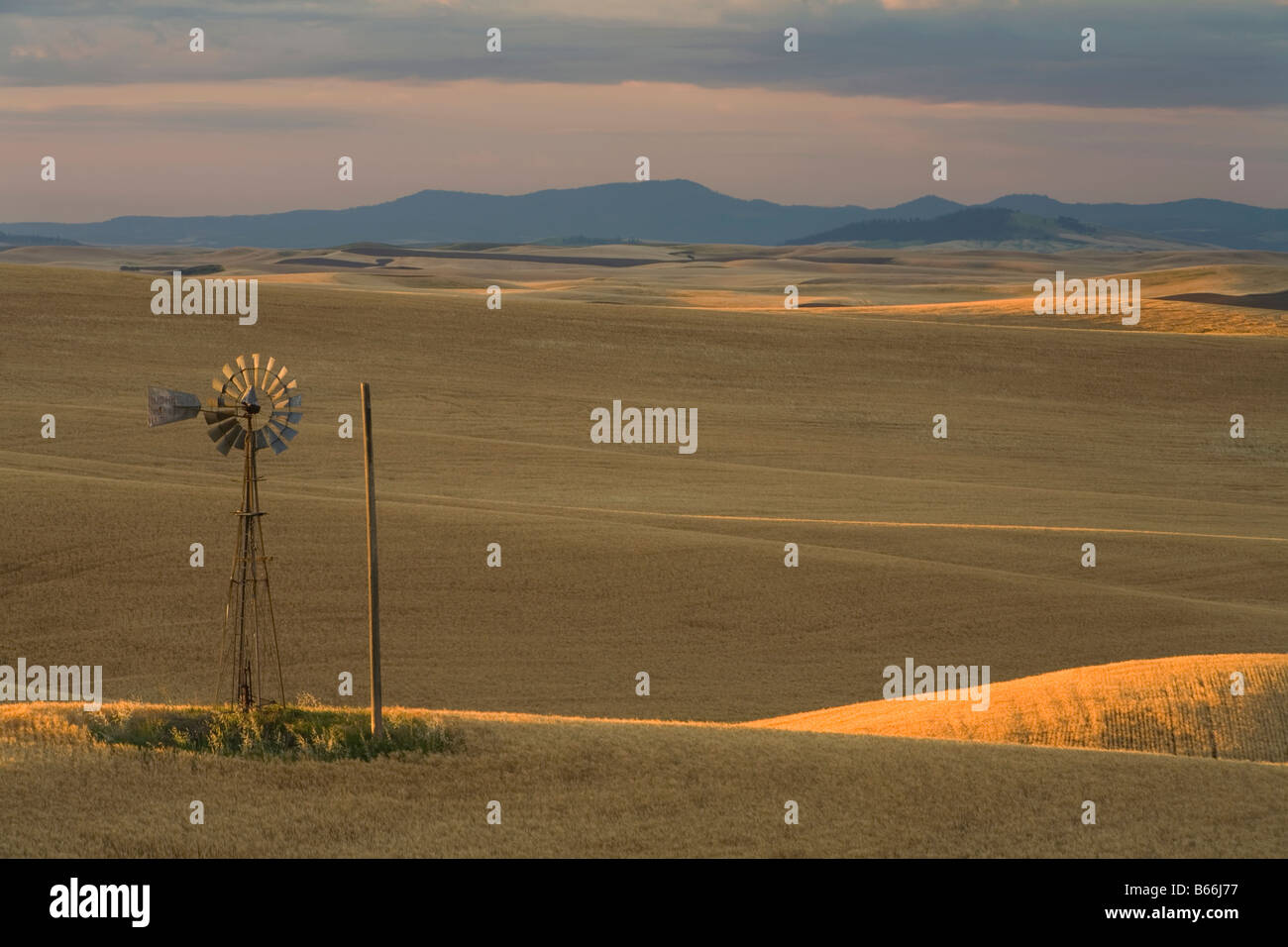 Palouse wheat hi-res stock photography and images - Alamy