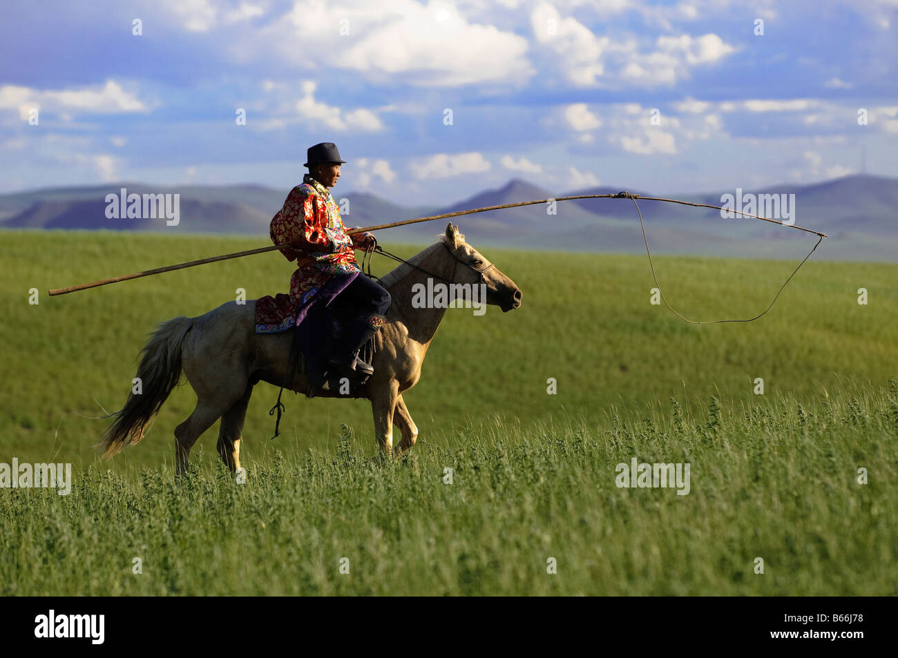 Grasslands herdsman on horseback catches horse with rope and pole urga ...