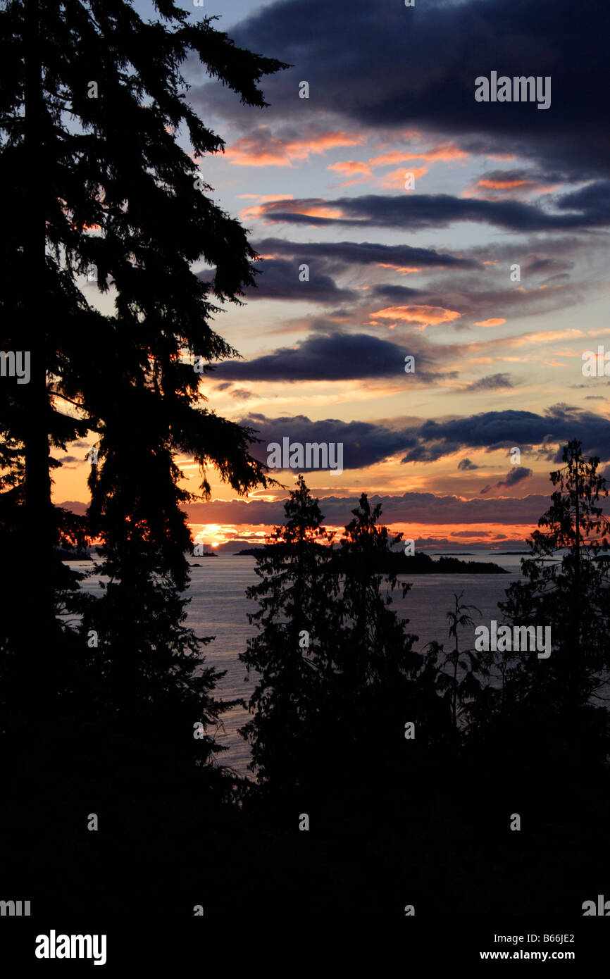 Winchelsea Islands dramatic sunset through conifers at north Nanaimo ...