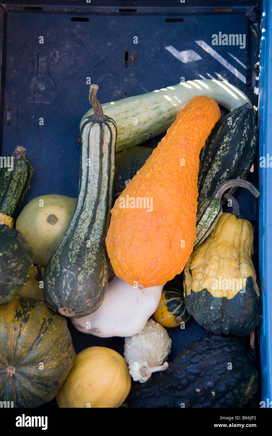 Gourd ornament hi-res stock photography and images - Alamy