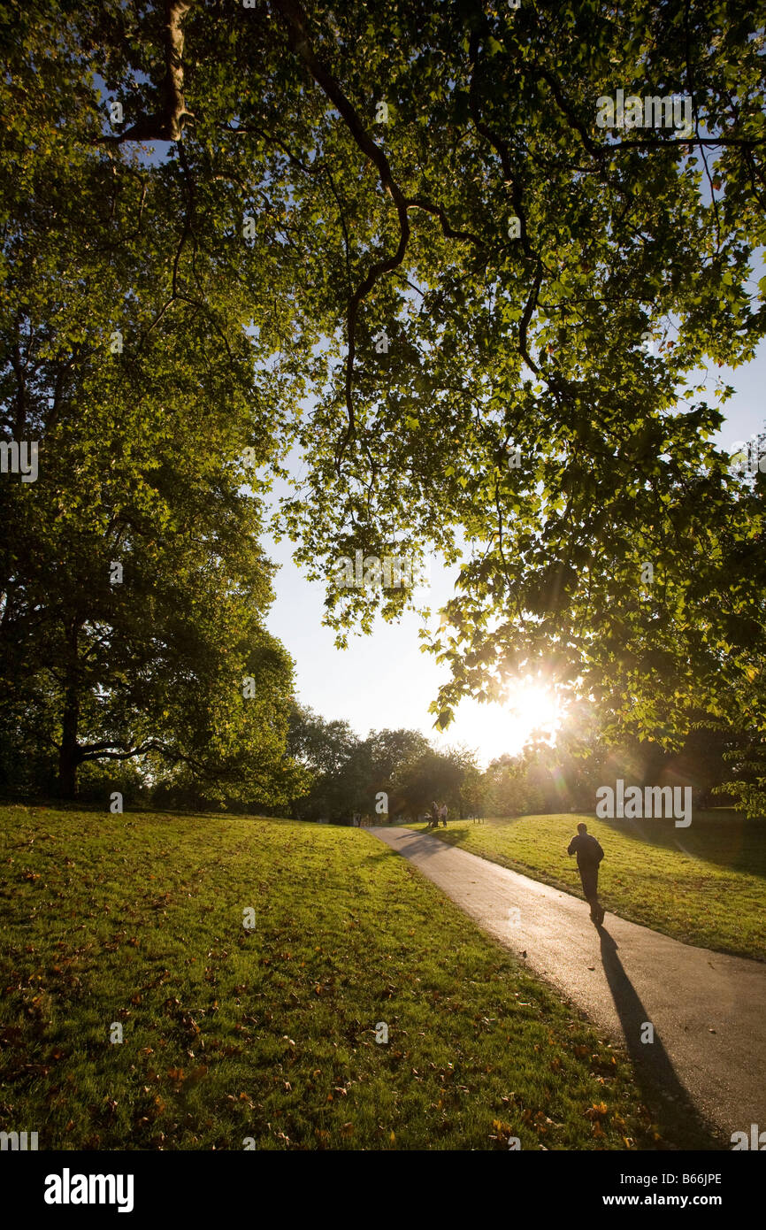 Evening light in Green Park. London, England, UK Stock Photo - Alamy