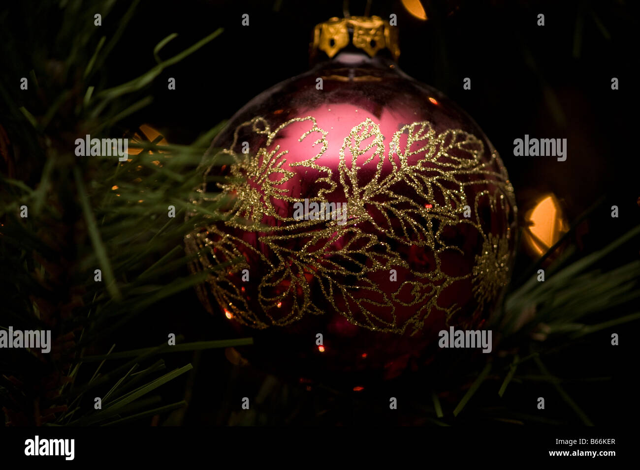 Tree bulb hi-res stock photography and images - Alamy