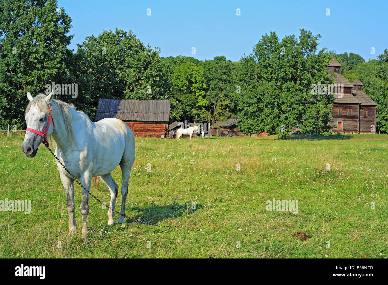 White horse, Pirogovo (Pyrohiv), open air museum of national ...
