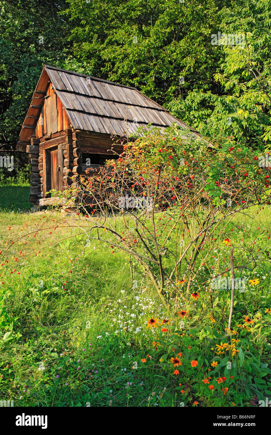 Ukrainian traditional wooden barn, Pirogovo (Pyrohiv), open air museum ...