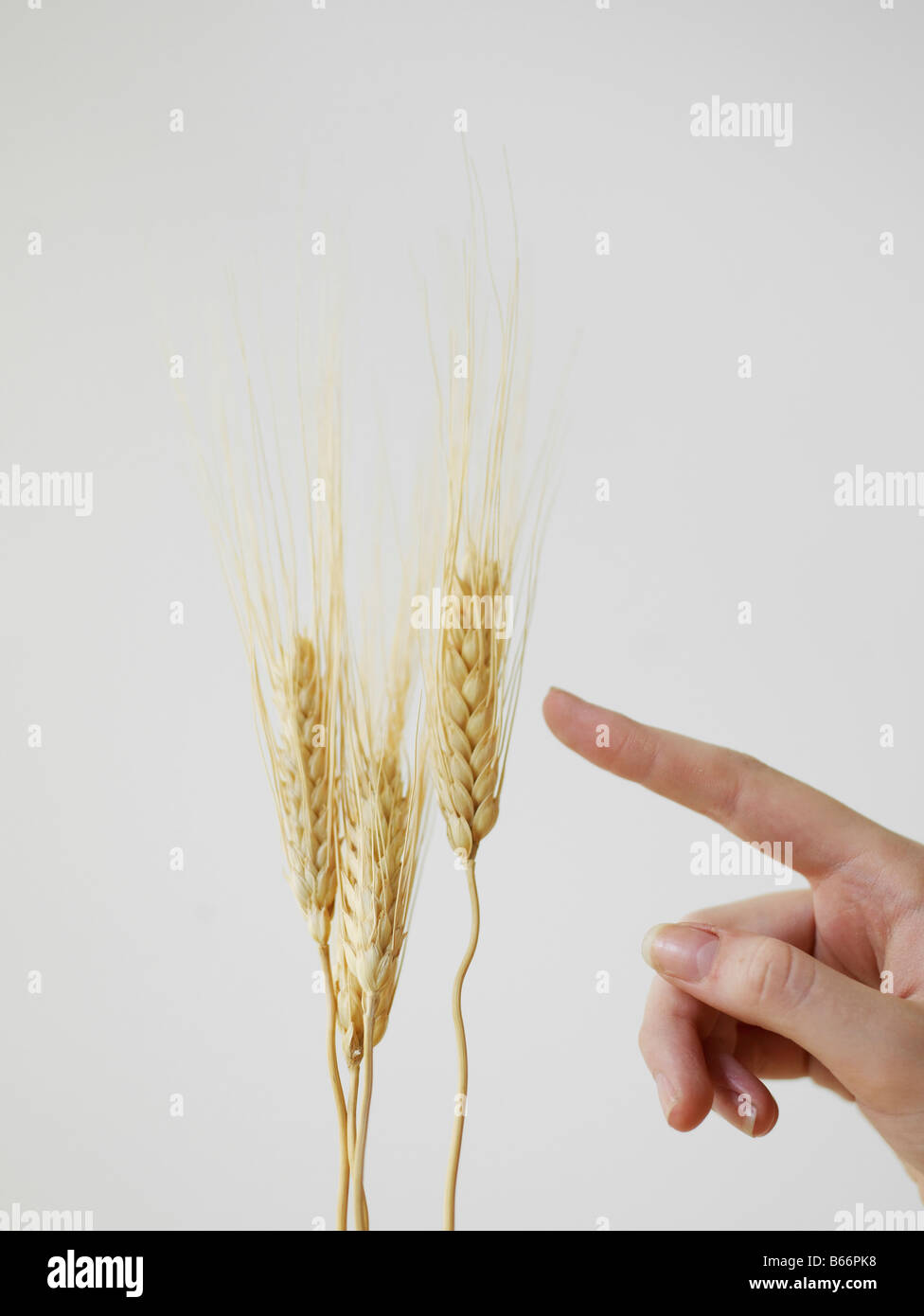 Young woman touching index hi-res stock photography and images - Alamy