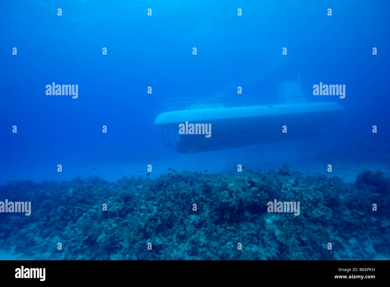 Cayman Islands Grand Cayman Island Underwater view of tourists ...