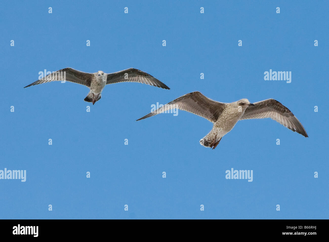Overhead photo of blue sea hi-res stock photography and images - Alamy