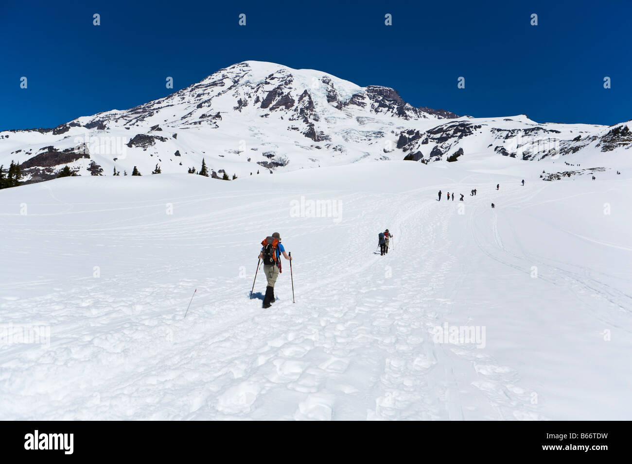 Muir snowfield trail hi-res stock photography and images - Alamy
