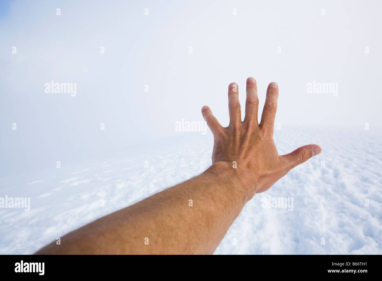 Hand Reaching Out Forward 182 Male Hand Reaching Out Light Stock
