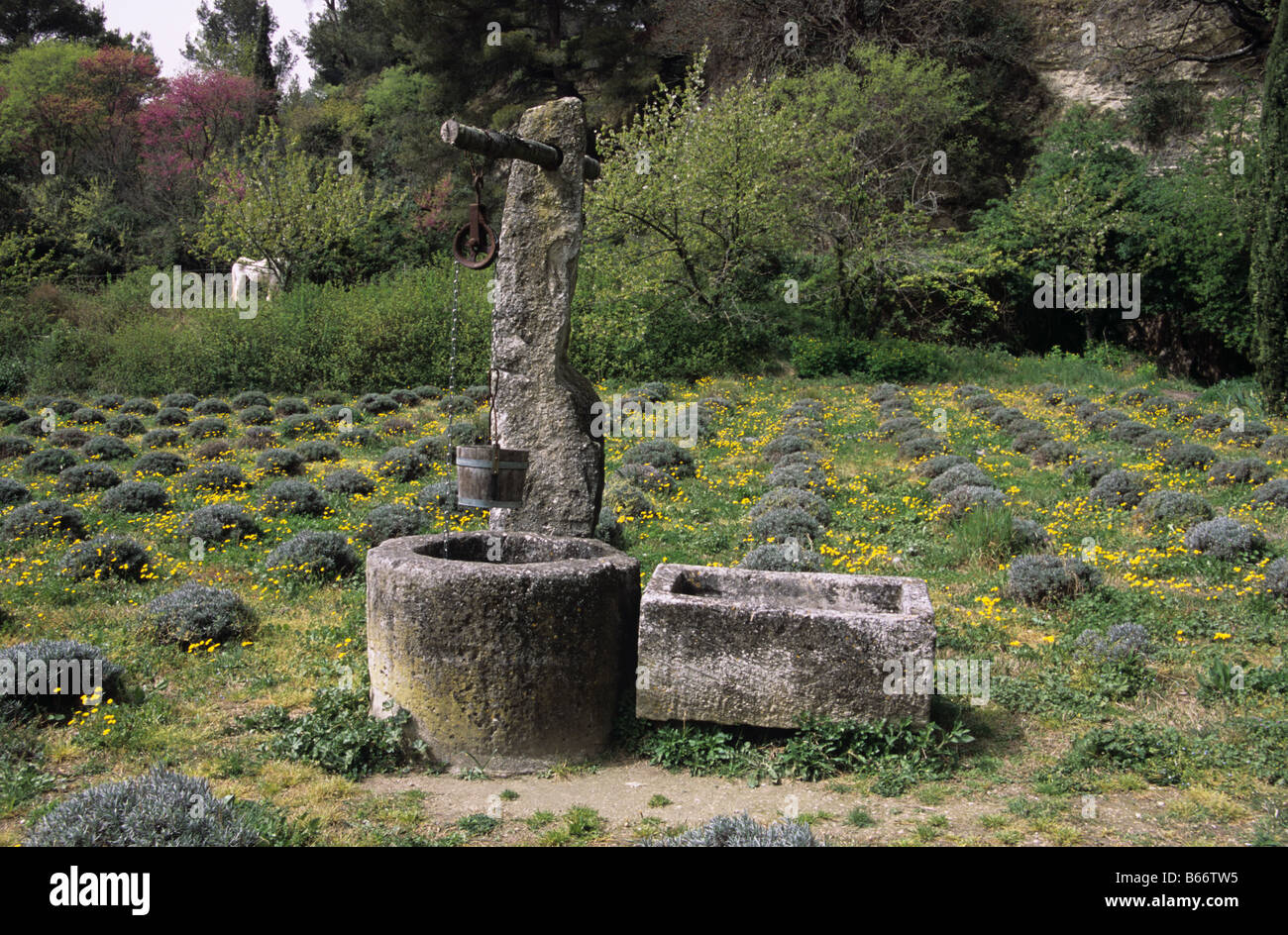Roman Well High Resolution Stock Photography and Images - Alamy