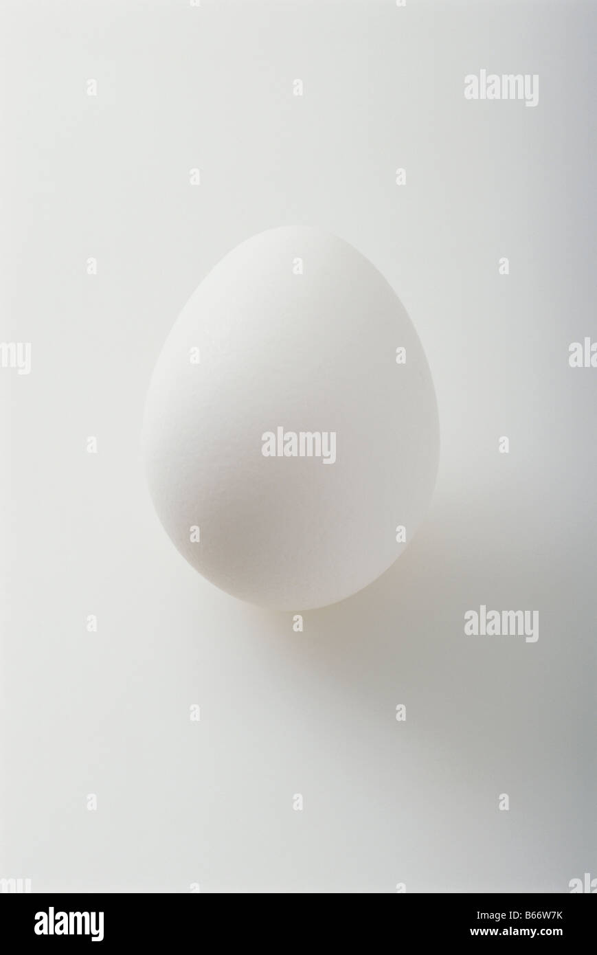 Single White Egg Stock Photo - Alamy