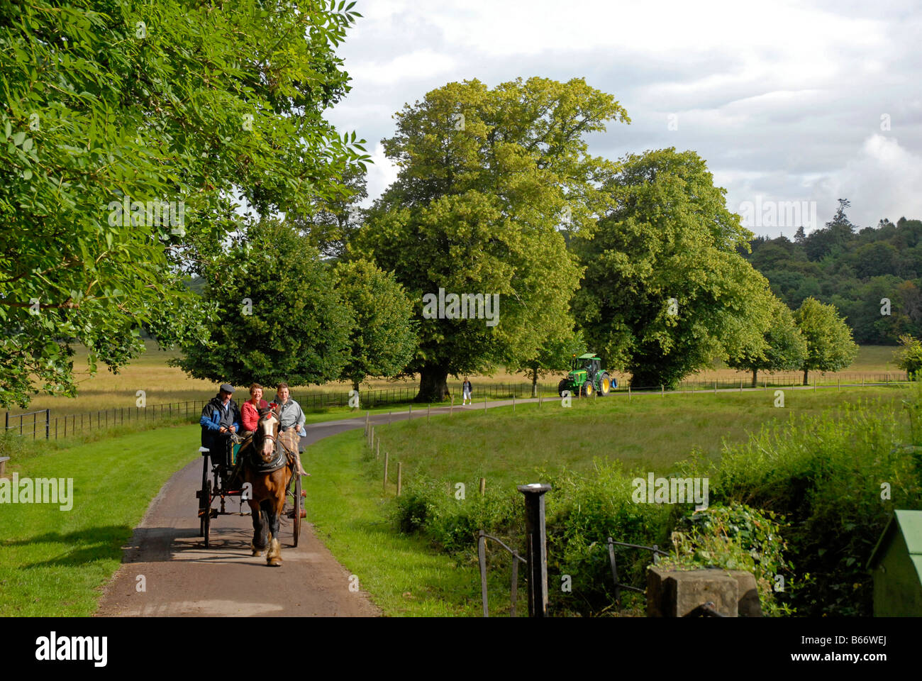 Irish jaunting cart hi-res stock photography and images - Alamy