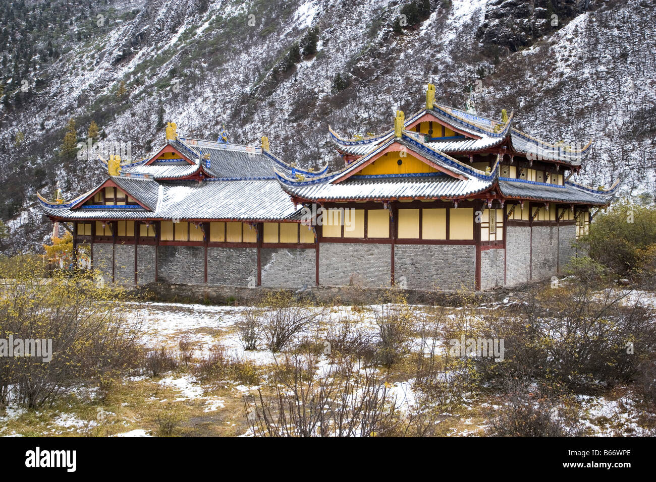 Yellow Dragon Temple Stock Photo - Alamy
