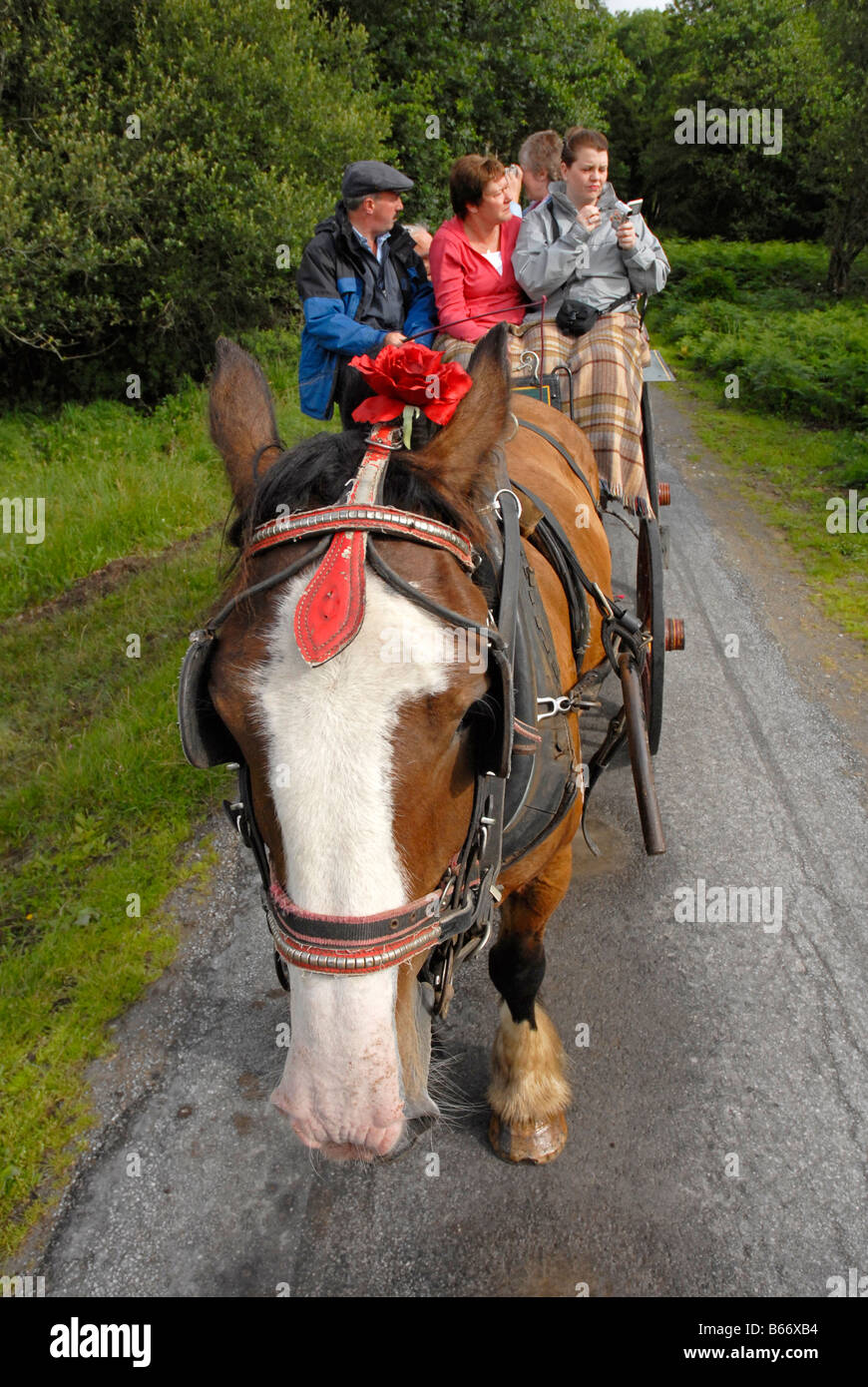 Horse drawn two wheeled cart hi-res stock photography and images - Alamy