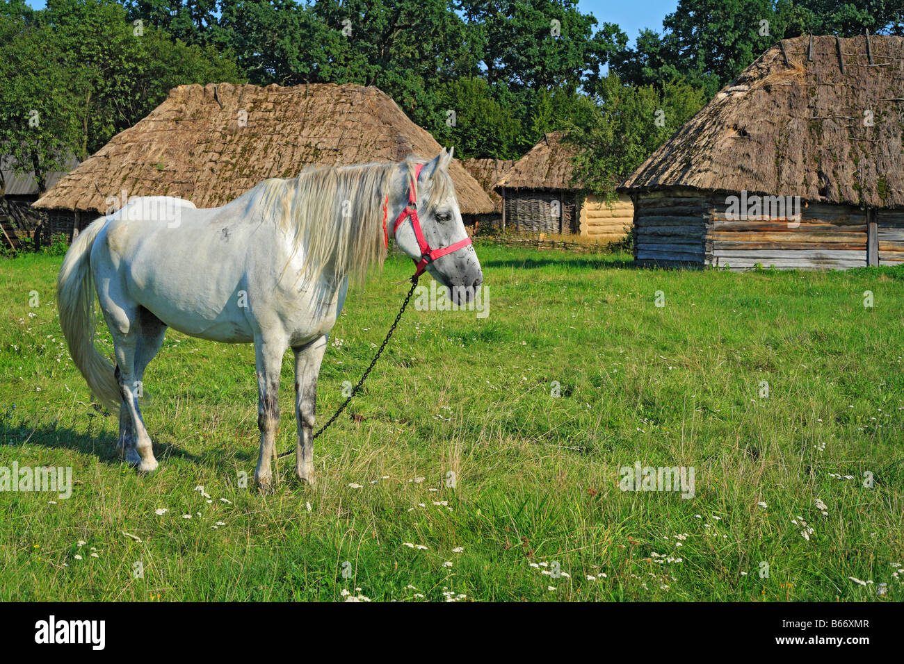 White horse, Pirogovo (Pyrohiv), open air museum of national ...