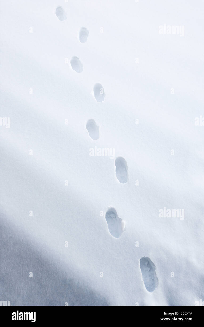 Footprint in snow hi-res stock photography and images - Alamy