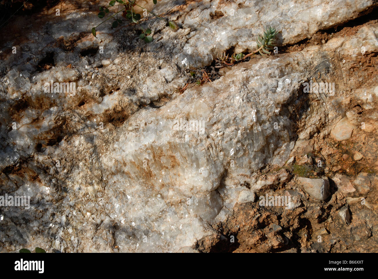 milky quartz / rock crystals in conglomerate rock, near Tarbena, Marina ...