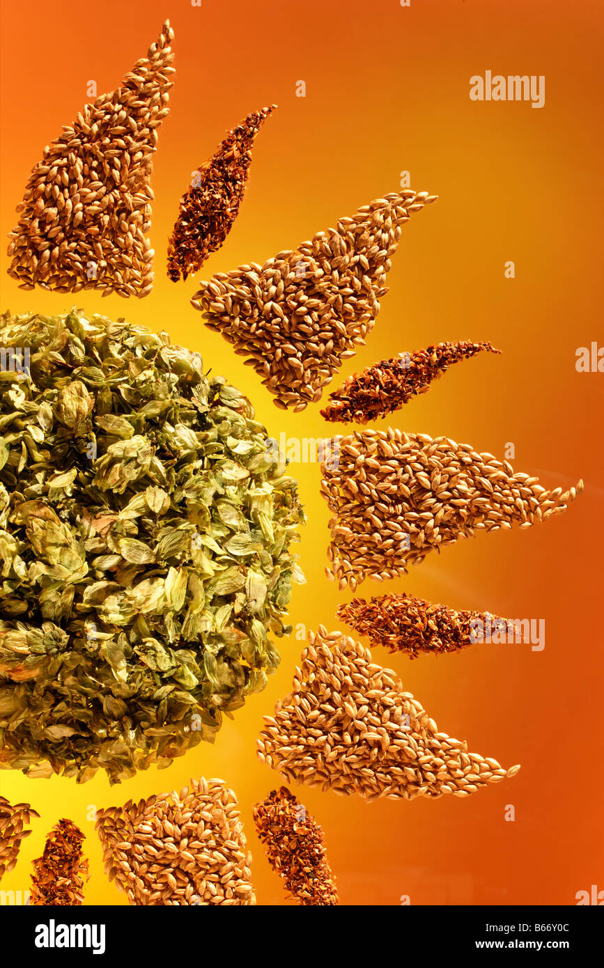 Sun flower seeds on hi-res stock photography and images - Alamy