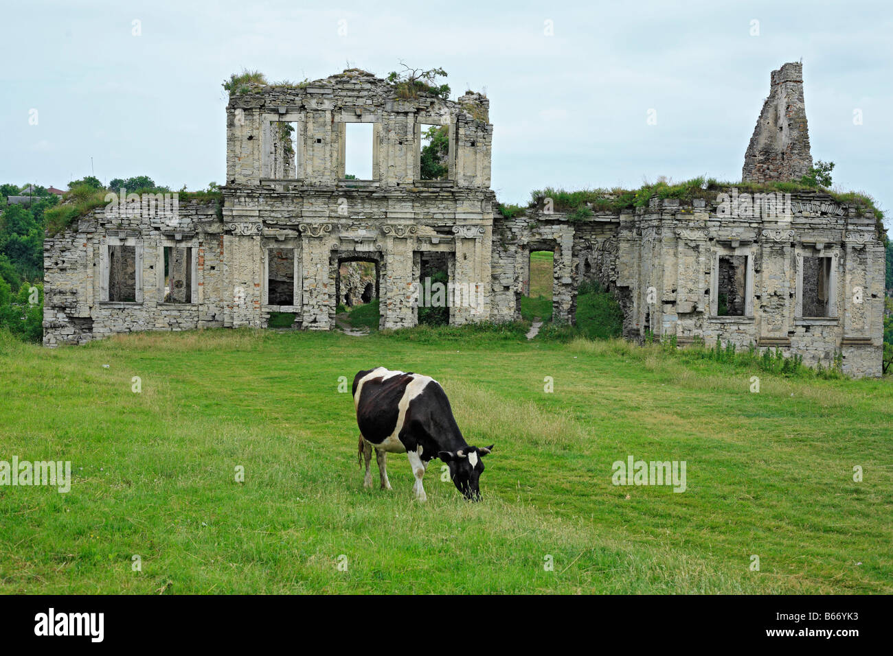 Cow castle hi-res stock photography and images - Alamy