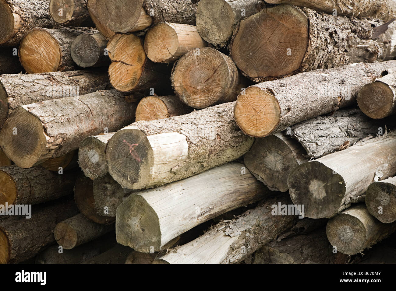 Stack of logs Stock Photo - Alamy