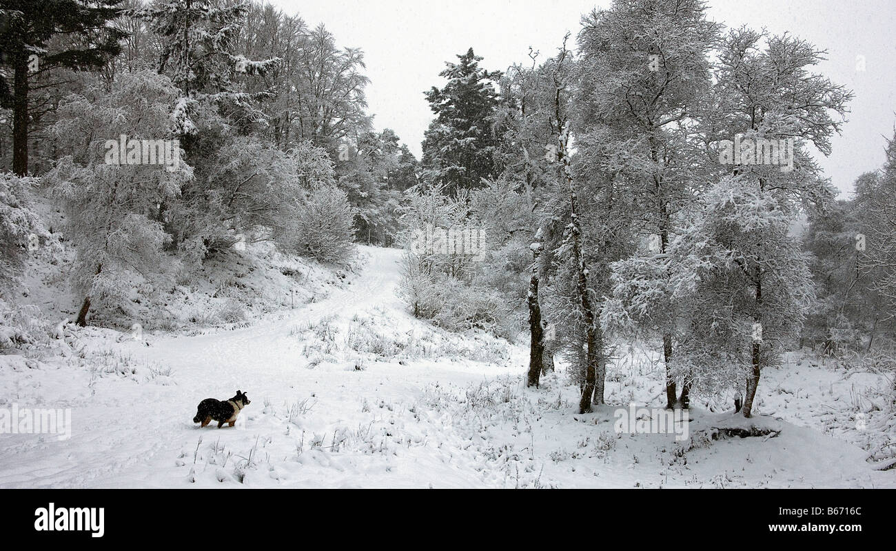 Winter scene.. Rathburne house. Scottish borders. Scotland Stock Photo ...