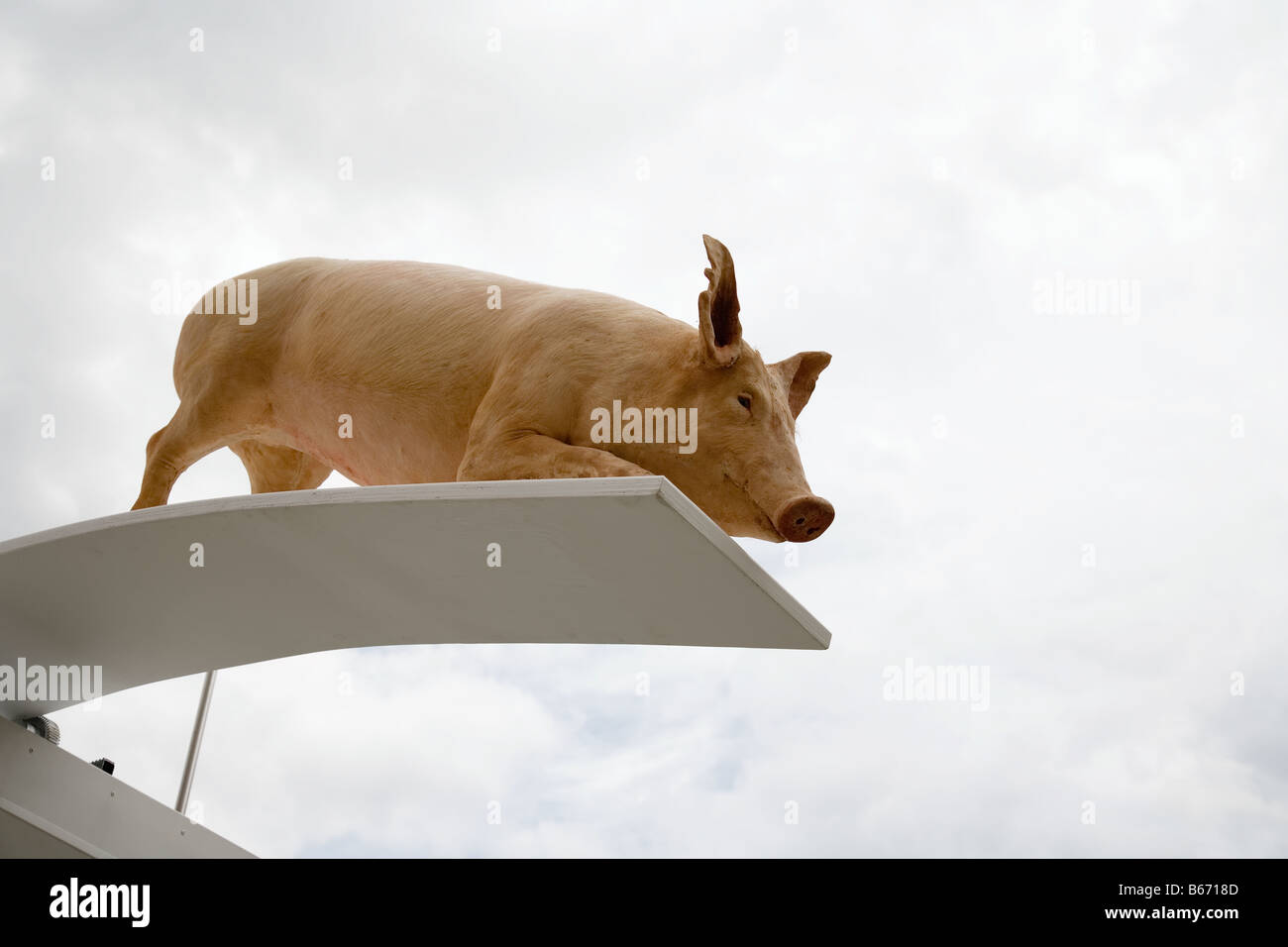 Diving board nervous hi-res stock photography and images - Alamy