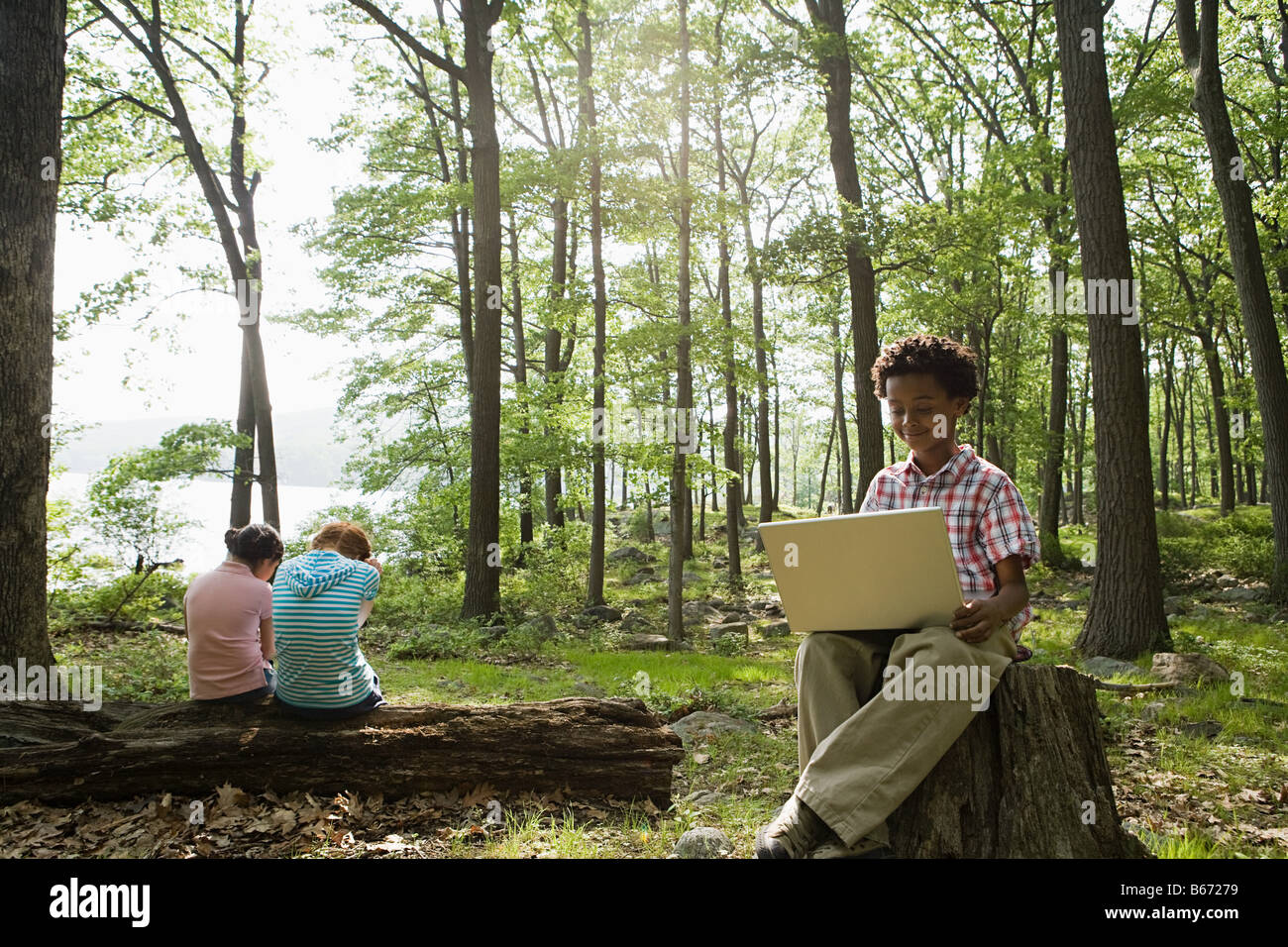 Boy using a laptop in a forest Stock Photo - Alamy